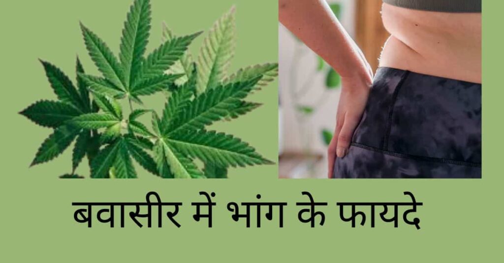 रोज दो चम्मच चिया बीज के सेवन के फायदे और नुकसान - chia seeds health ...